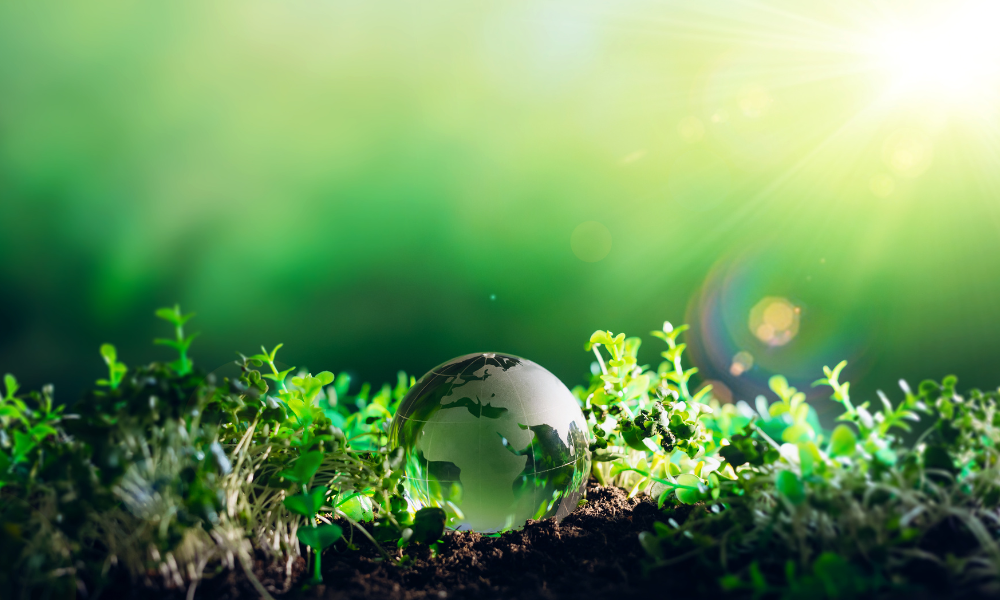 All About World Environment Day 5th of June 2024 | Mollie & Fred ...
