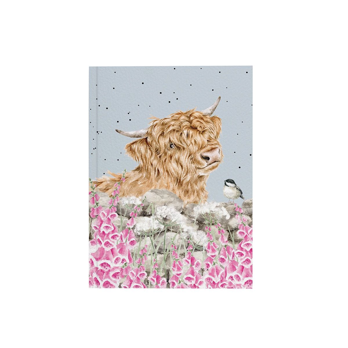 Wrendale Designs Highland Cow 'Just For Moo' Notebook| Mollie & Fred ...